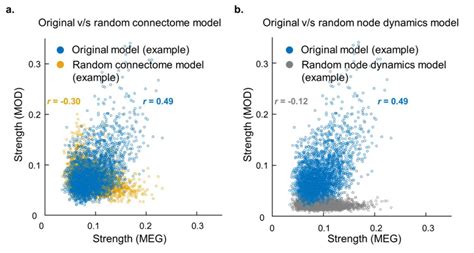 The Pattern Of Connections In The Structural Connectome And Dynamics Of