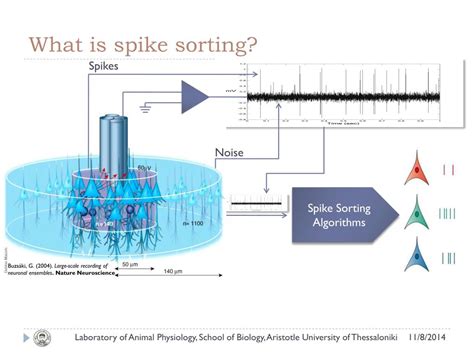 Ppt Spike Sorting Based On Dominant Sets Clustering Powerpoint
