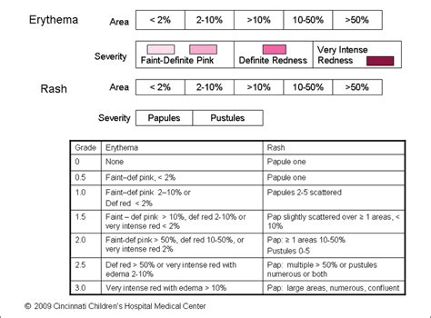 —diaper Dermatitis Grading Scale Download Scientific Diagram