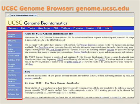 Ppt Ucsc Genome Browser Powerpoint Presentation Free Download Id 2742517