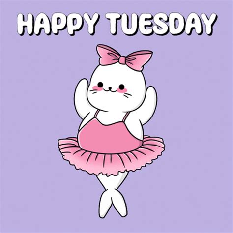 Cute Happy Tuesday Cat Dancing Ballet  500×500 Cute Happy