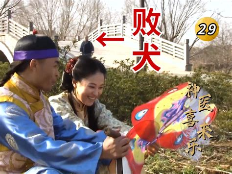 神医喜来乐29：喜来乐变败犬，惩治小日子秀双线操作，却被田魁捷足先登 东乐大剧院 东乐大剧院 哔哩哔哩视频