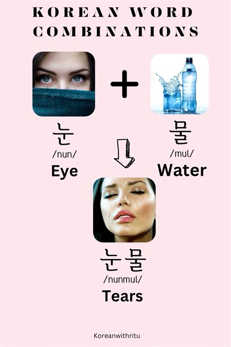 Best 13 Learn Basic Korean Wordskorean Phraseskorean Sentenceskorean Important Wordsuseful