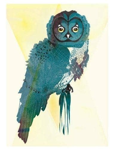 Lynn Macpherson Salty Philip Owl Inspireland