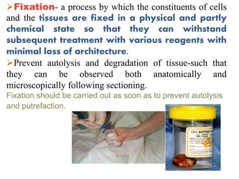 Histopathological Techniques Sectioning Staining Embedding Fixaton