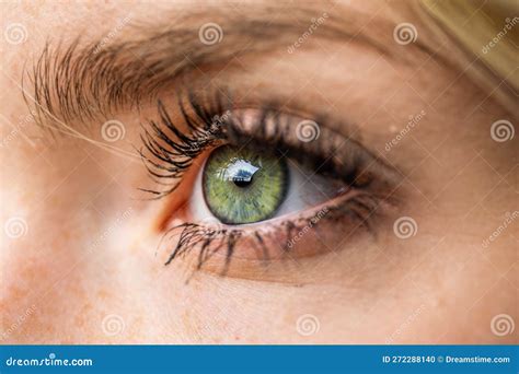 Closeup Of An Attractive Female S Bright Green Eyes With Long