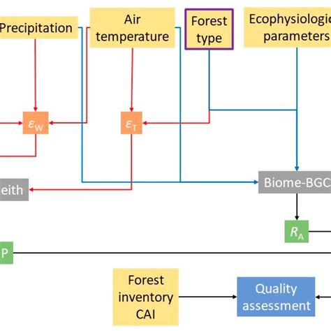 Flowchart Of The Modeling Strategy To Assess Annual Forest Net Primary