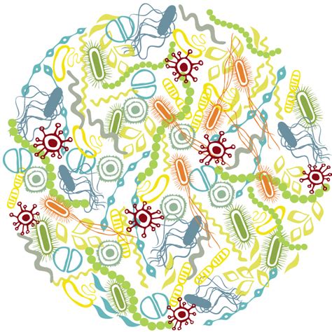 What Are Microbes