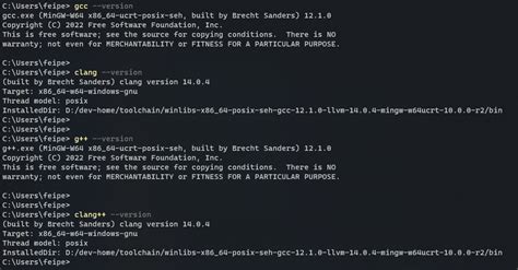 Windows11搭建c C 开发环境 Feipeng8848 博客园