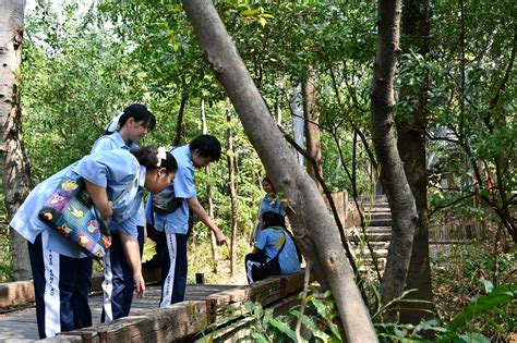 โรงเรียนสารสาสน โรงเรียนสารสาสน์วิเทศร่มเกล้า แผนกมัธยม