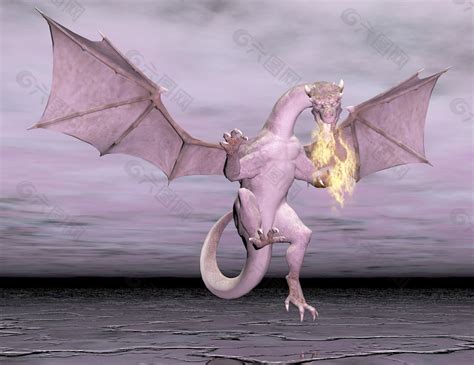 龙素材免费下载图片编号1953190 六图网