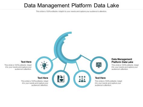 Data Management Platform Data Lake Ppt Powerpoint Presentation Styles Graphic Tips Cpb