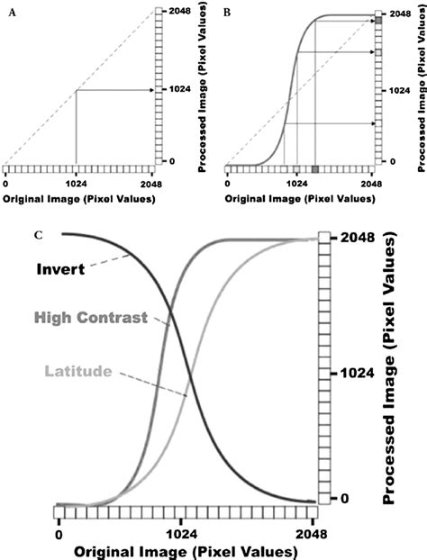 The Look Up Table Graphic Graphic Example Of The Look Up Table Lut Download Scientific