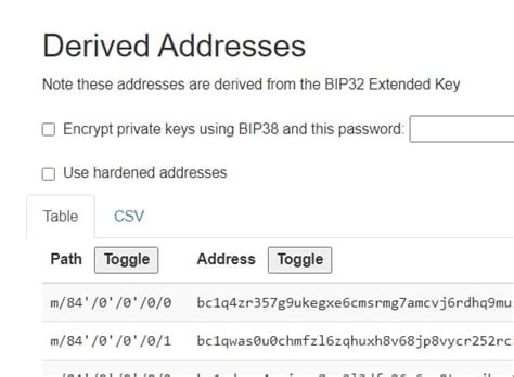 Mnemonic Code Converter Help Determines Crypto Wallet Compatibility And Recoverability