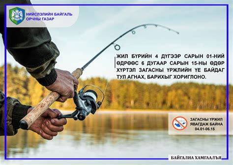 Жил бүрийн 4 дүгээр Нийслэлийн Байгаль орчны газар