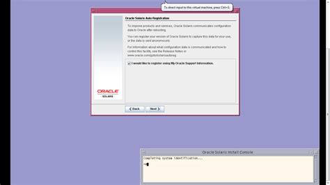 install oracle solaris 10 inside vmware® workstation 8 0 1 oracle