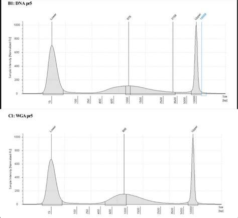 52 Tape Station Electropherogram Report For Unmanipulated Dna Top Download Scientific Diagram