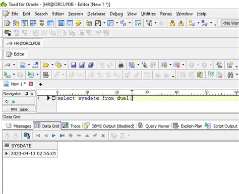 Toad NLS DATE FORMAT How To SOP