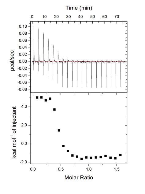 Why Is The Heat For This ITC Curve Both Endo And Exo ResearchGate