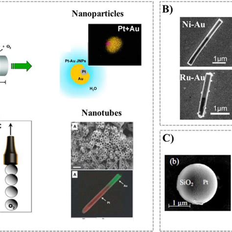 Examples Of Self Propelled Catalytic Micromotors A Reported Au Pt Download Scientific