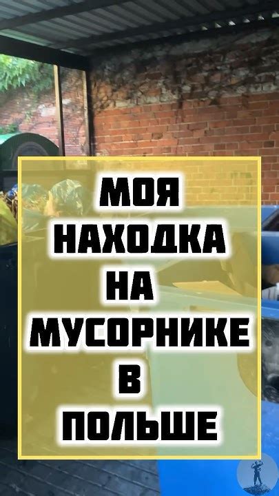 МУСОРНИК В ПОЛЬШЕ мусорка польша Youtube