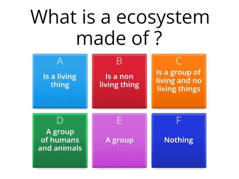 Ecosystem Quiz Gi Ryan George And Mateus Cuestionario