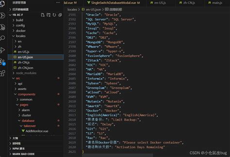 优化：项目国际化 中英文 I18nvue I18n优化 Csdn博客