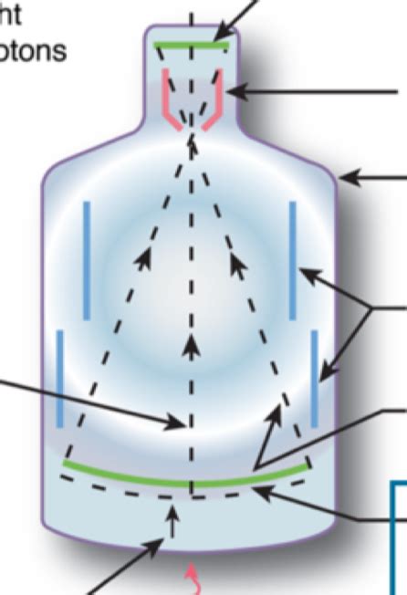 Fluoroscopy Diagram Quizlet