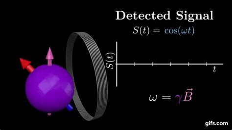 Pin By Srinathamizh On Biomedical Engineering Custom Site Biomedical Engineering Biomedical