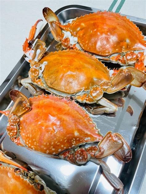 자연산 활 숫꽃게 저렴히팝니다 헬로마켓