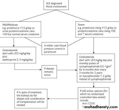 Management Of Sle Pptx د عباس طعمة Muhadharaty