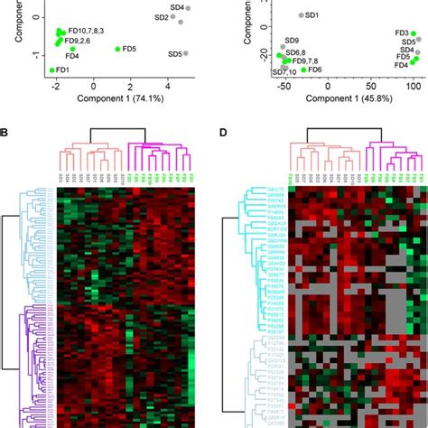 Clustering Analyses Of All Significantly Regulated Proteins The