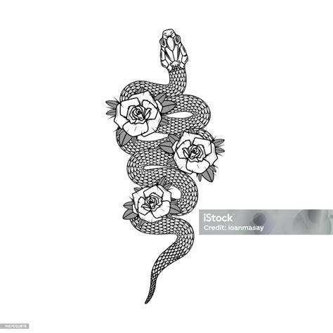 장미와 함께 배경에 뱀 포스터 티셔츠 카드 배너를위한 디자인 요소 벡터 일러스트 레이 션 뱀에 대한 스톡 벡터 아트 및 기타