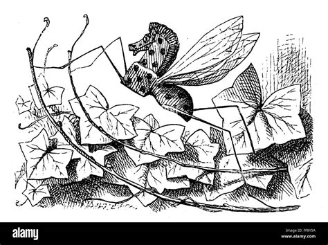 Carroll Looking Glass Nthe Rocking Horse Fly One Of The Glass