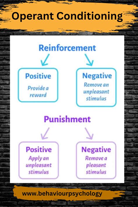 What Is Operant Conditioning Operant Conditioning Positive Reinforcement Positivity