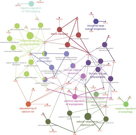 Gene Biological Processes Functional Network Of Hub Module Functional Download Scientific
