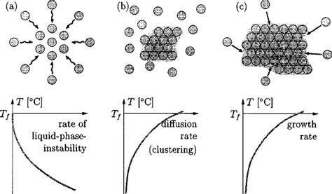 Nucleation And Crystal Growth A Clustering Of Adjacent Molecules To Download Scientific