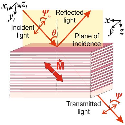 Odd Magneto Optical Linear Dichroism In A Magnetophotonic Crystal