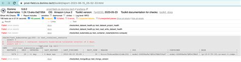 Basic Domino Health Domino Data Lab