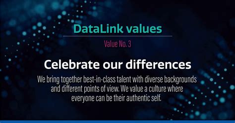 datalink on linkedin culture