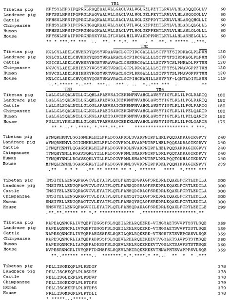 Alignment Phylogenetic Tree And Architecture Of The Predicted Amino