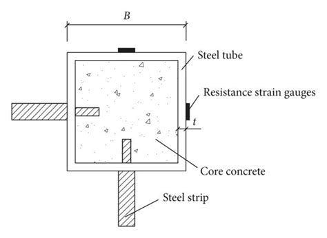 Cross Sectional Area Of Specimens Download Scientific Diagram