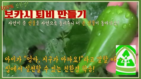 친환경 살림 보카시퇴비만들기🌱 음식물 쓰레기로 유기농 먹거리 얻는 방법 Youtube
