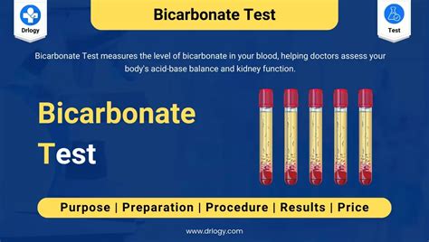 Bicarbonate Test Price Normal Range And Results Drlogy