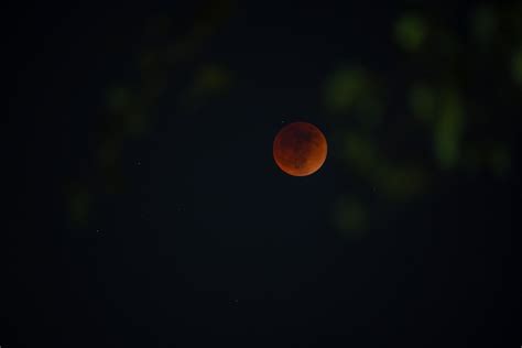 My First Lunar Eclipse I Was Able To Capture With A Decent Camera Https T Co FqWzzDNAaA Space