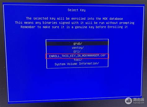 U盘启动时报错，提示 Verification Failed 0x1a Security Violation 的解决方法 路由器