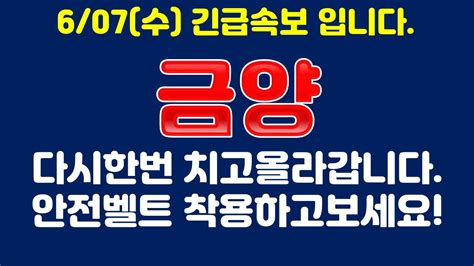 금양 다시한번 치고올라갑니다 Youtube