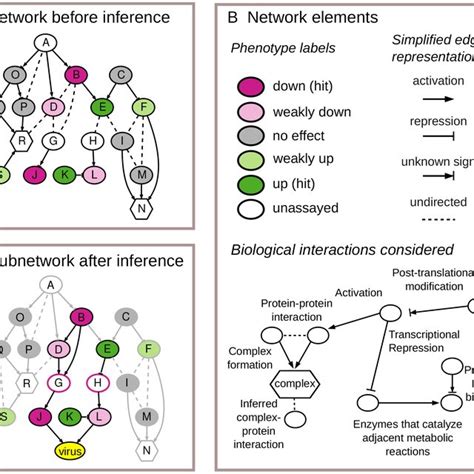 input and output for our subnetwork inference approach a the inputs
