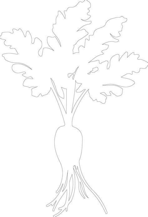 parsnip outline silhouette 38492814 vector art at vecteezy