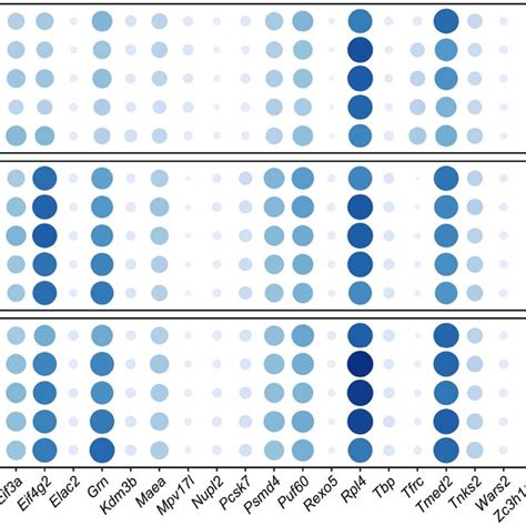 Marker Gene Expression Was Profiled In Specific Cell Types By